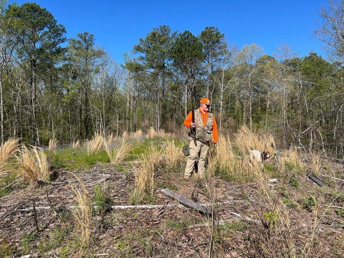Dales Bobwhite Quail Hunting in Alabama | Intercoastal Safaris