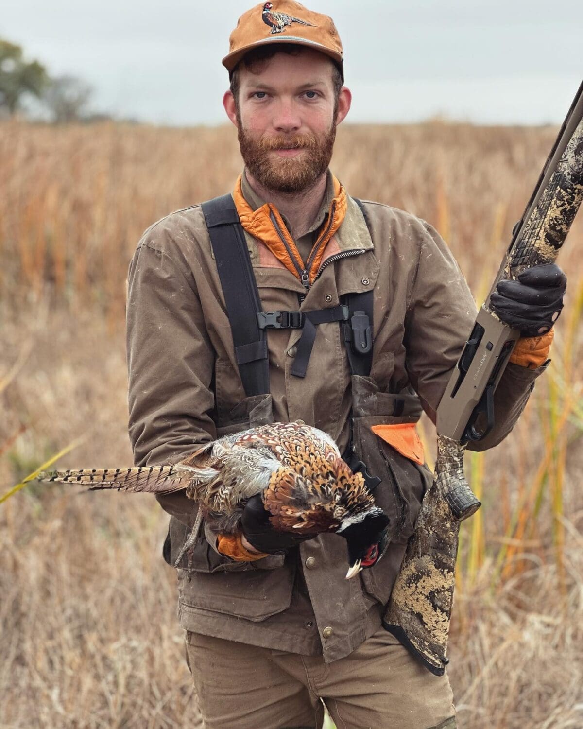Dales Bobwhite Quail Hunting in Alabama | Intercoastal Safaris