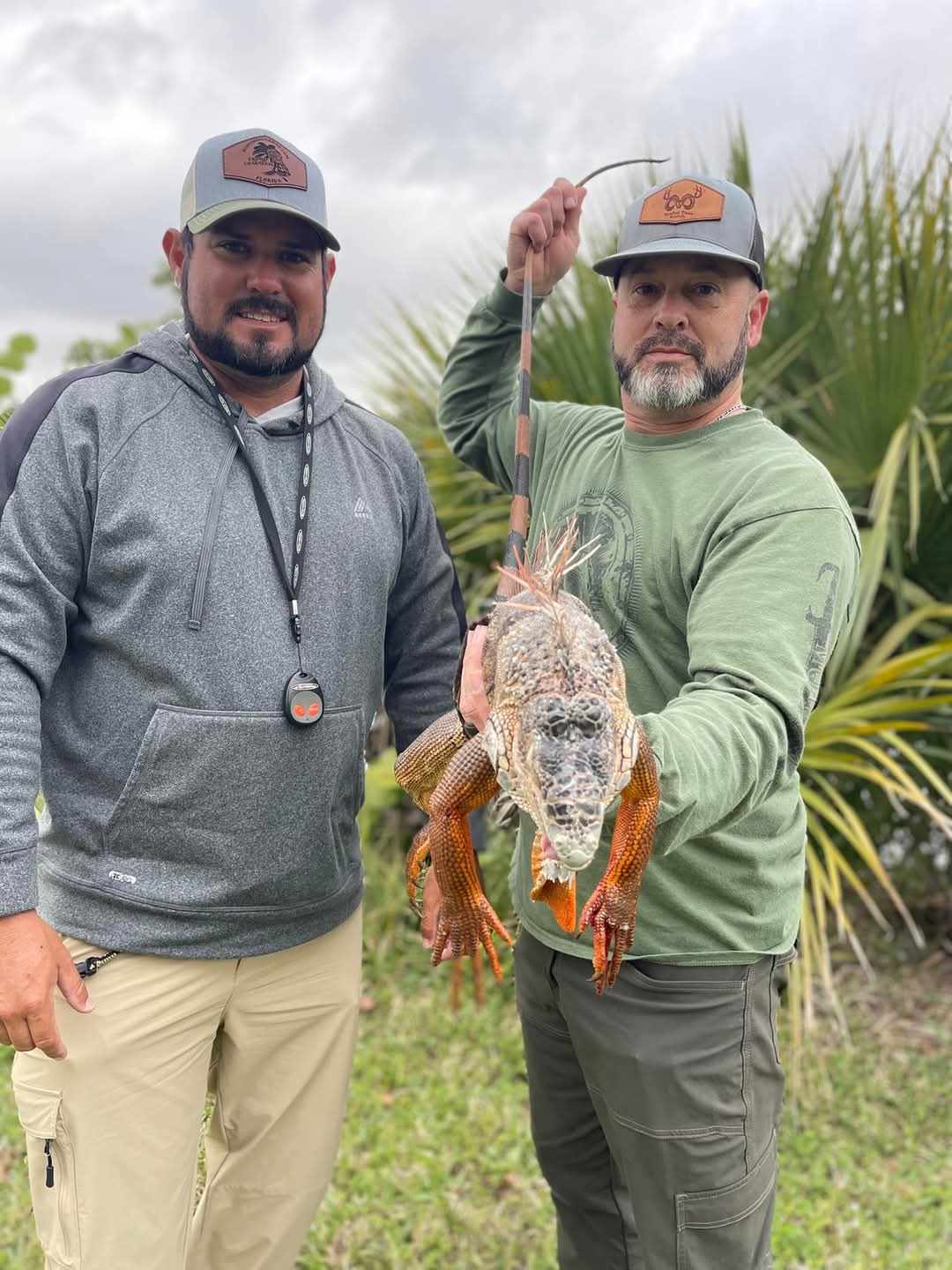 Air Rifle Trophy Iguana Hunts - Miami, FL | Intercoastal Safaris