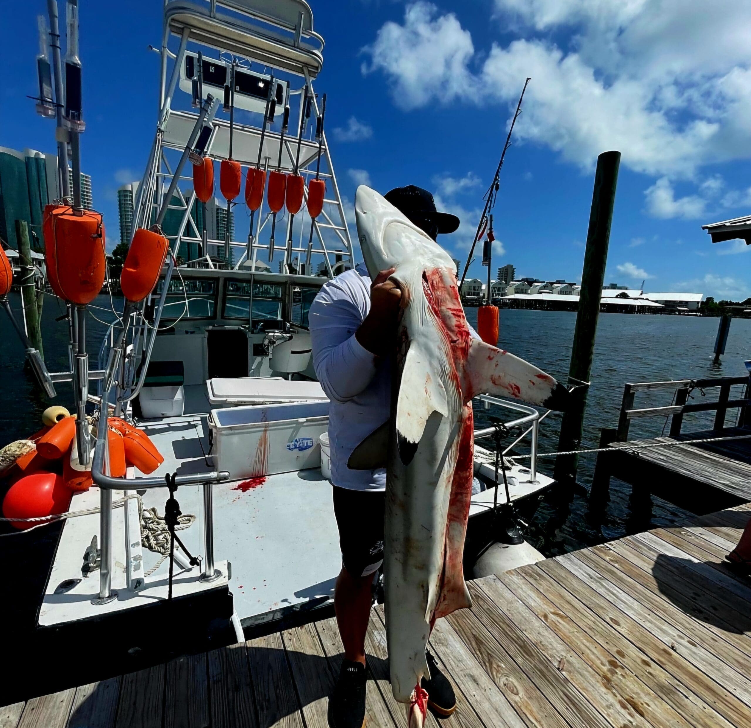 Captain Stillers Apex Shark Fishing - Gulf Shores, AL | Intercoastal ...